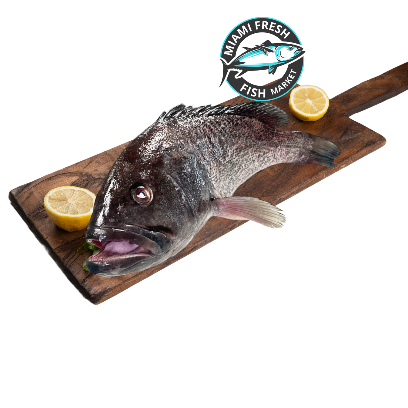 Red/Black Grouper | Fresh Fish | Whole or Fillet | Per Pound – miami ...