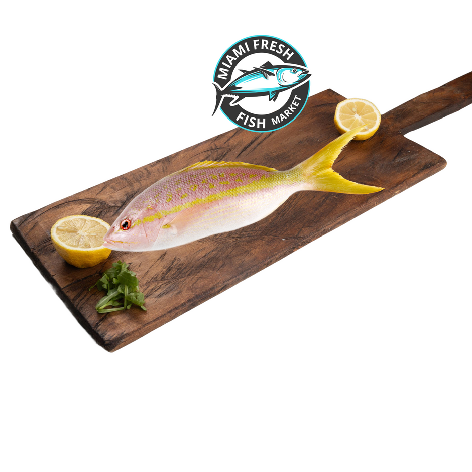 Miami Fresh Fish Market – miami-fresh-fish